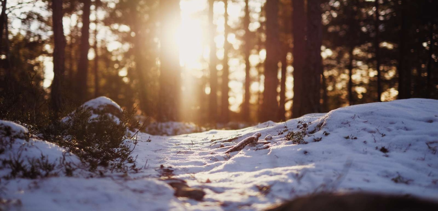 Shelter om vinteren - kan man det?